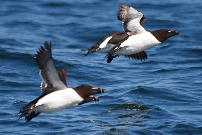 30 Most Amazing Ecological Reserves in North America - Top Value Reviews