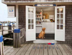 30 Best Small Towns for Dog Lovers 2020 - Top Value Reviews